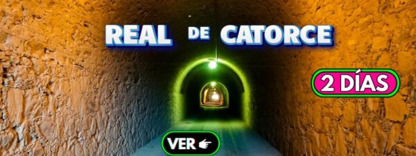 Real de 14 – 1 Día